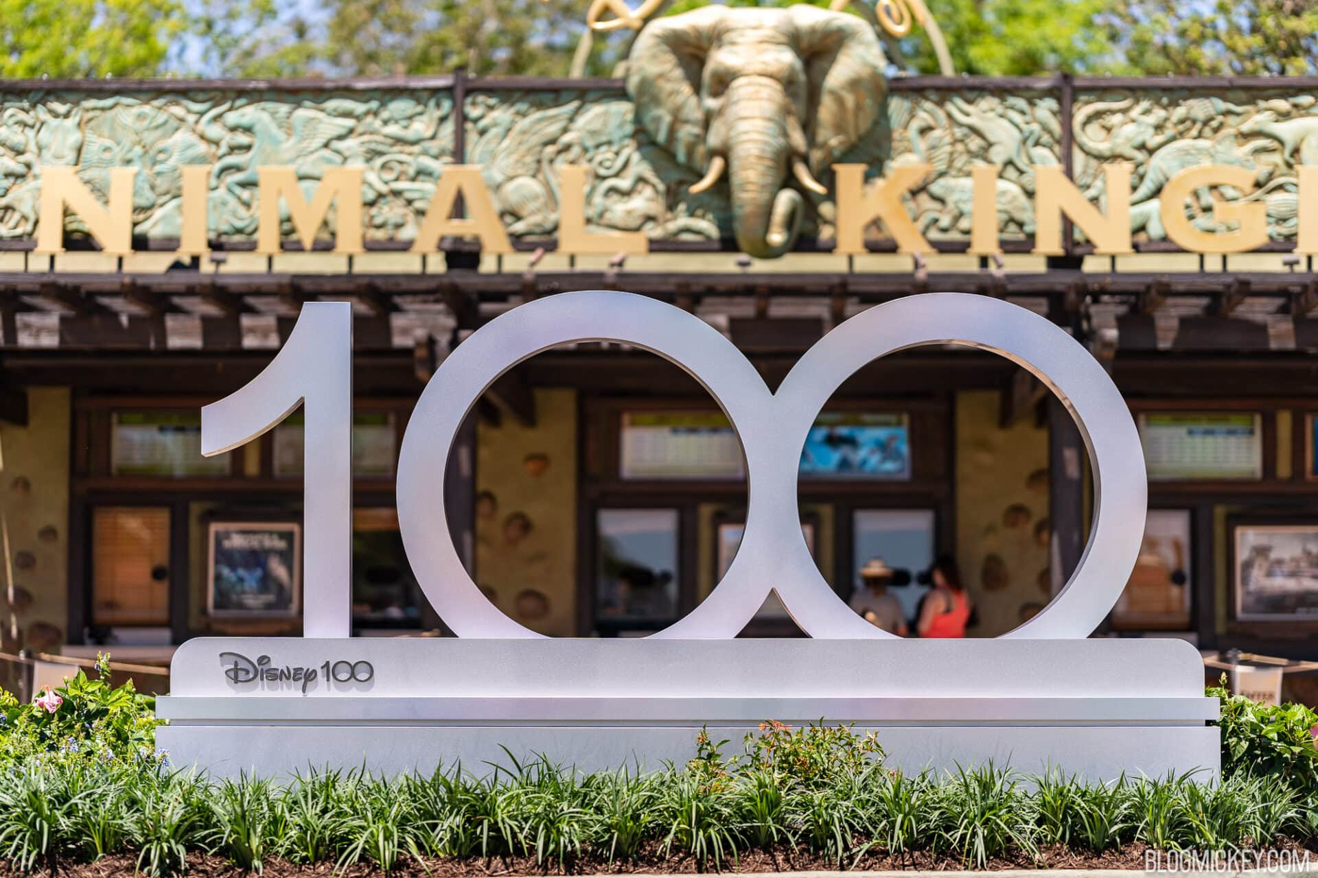 Disney100 Sign Installed at Animal Kingdom Entrance