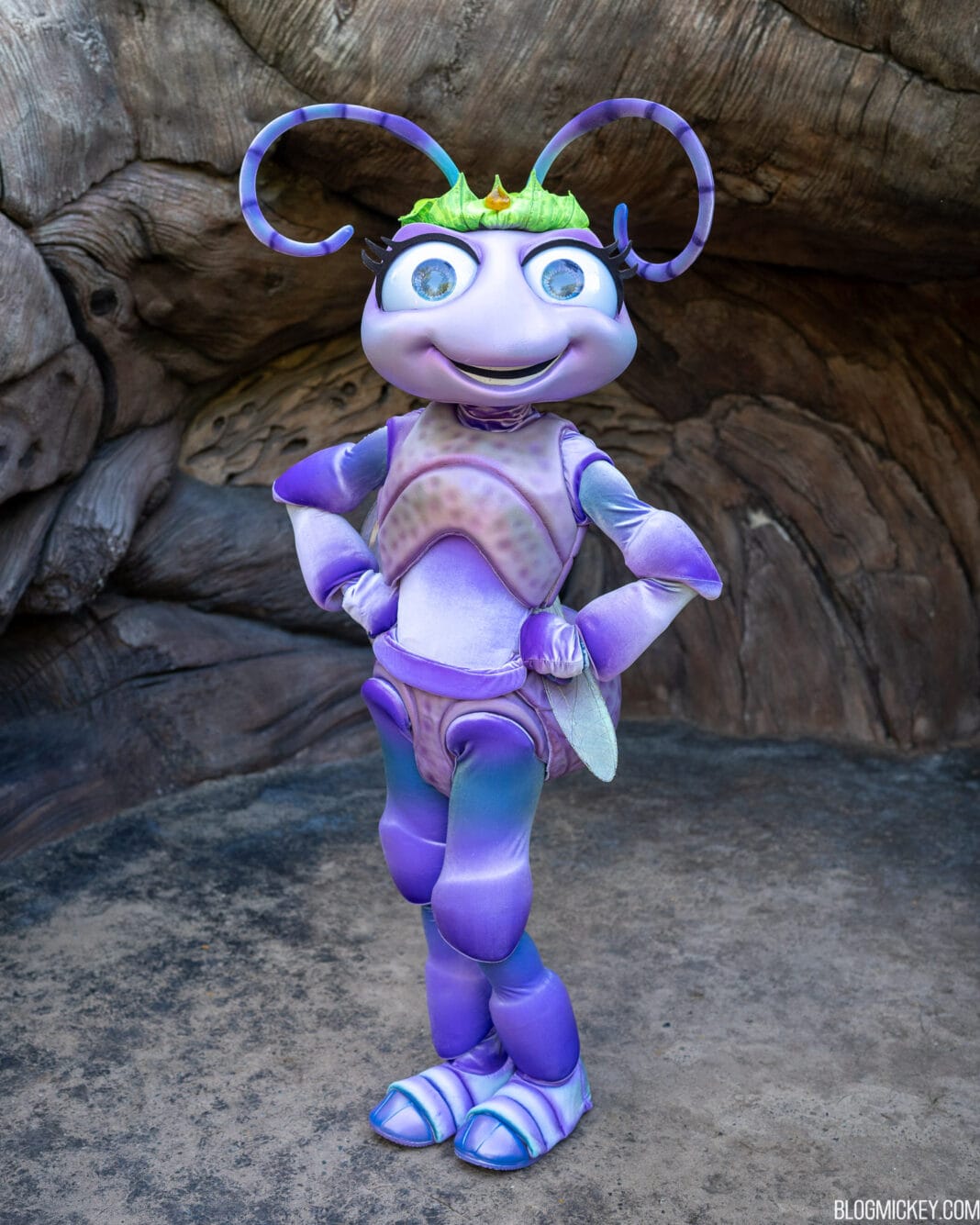 Princess Atta Meets With Guests During Earth Week at Animal Kingdom