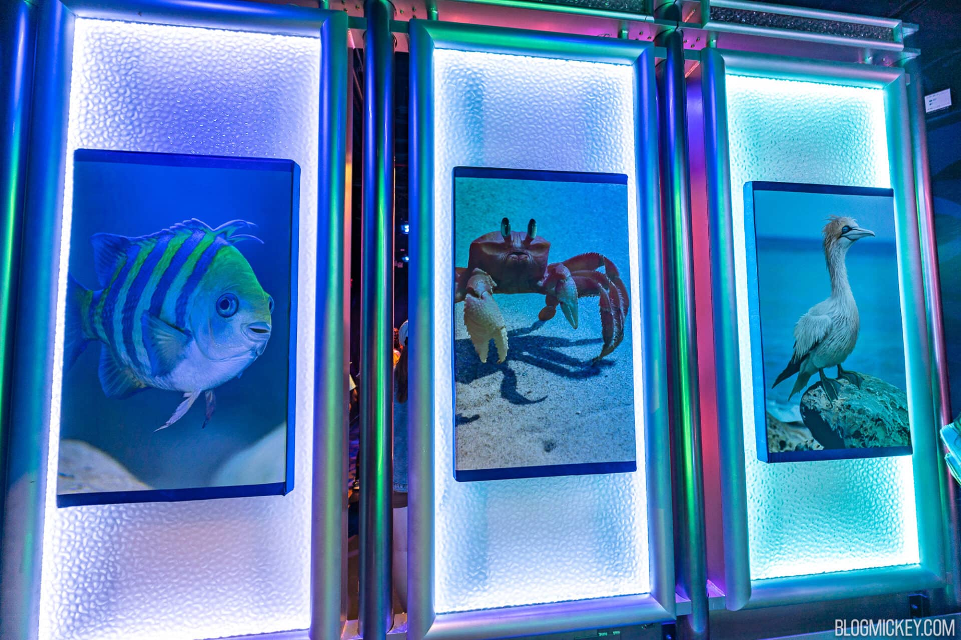 The Little Mermaid Live-Action Ariel Meet and Greet Debuts at Disney's ...
