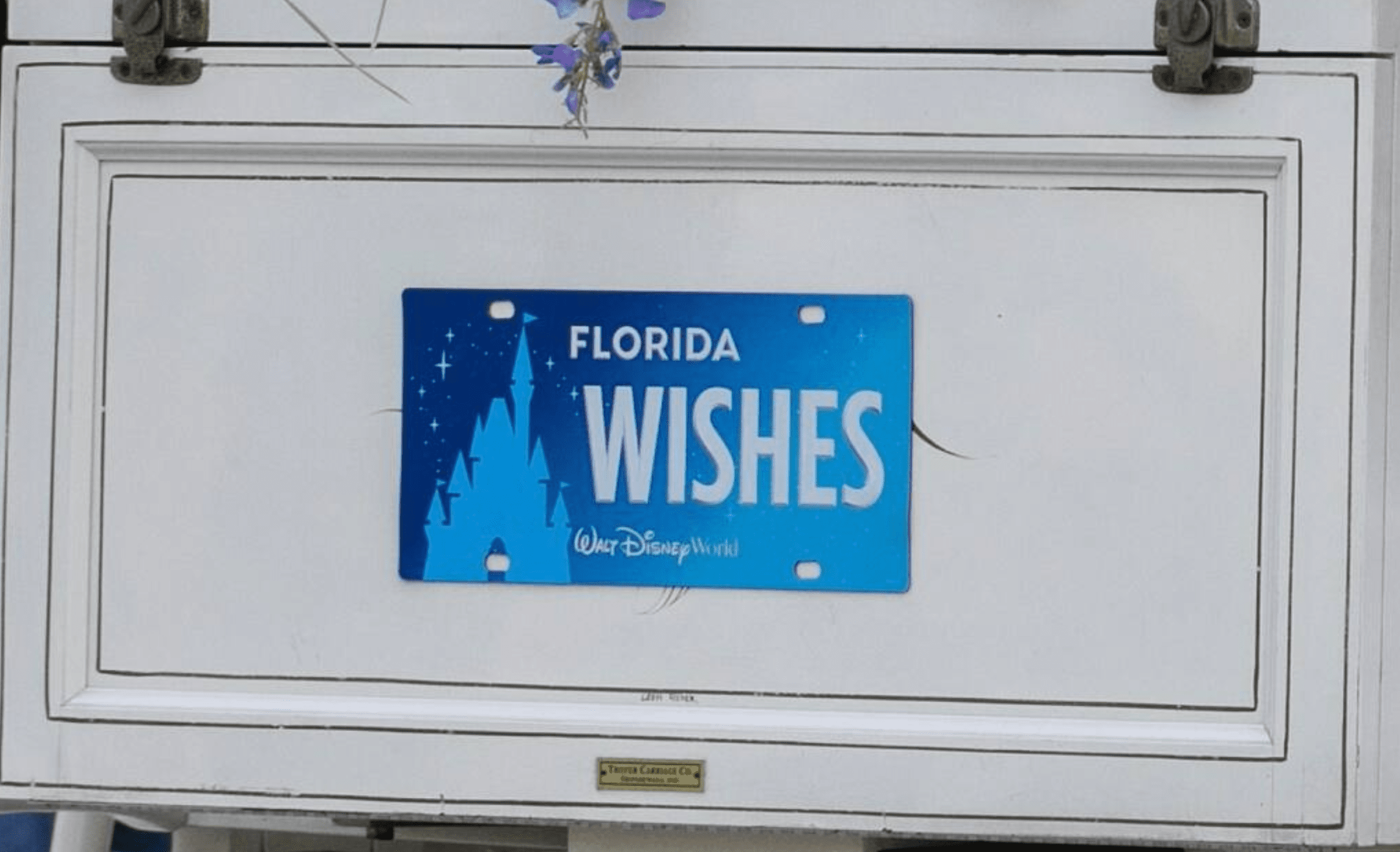 Disney World Reveals New Design for Florida Specialty License Plate ...