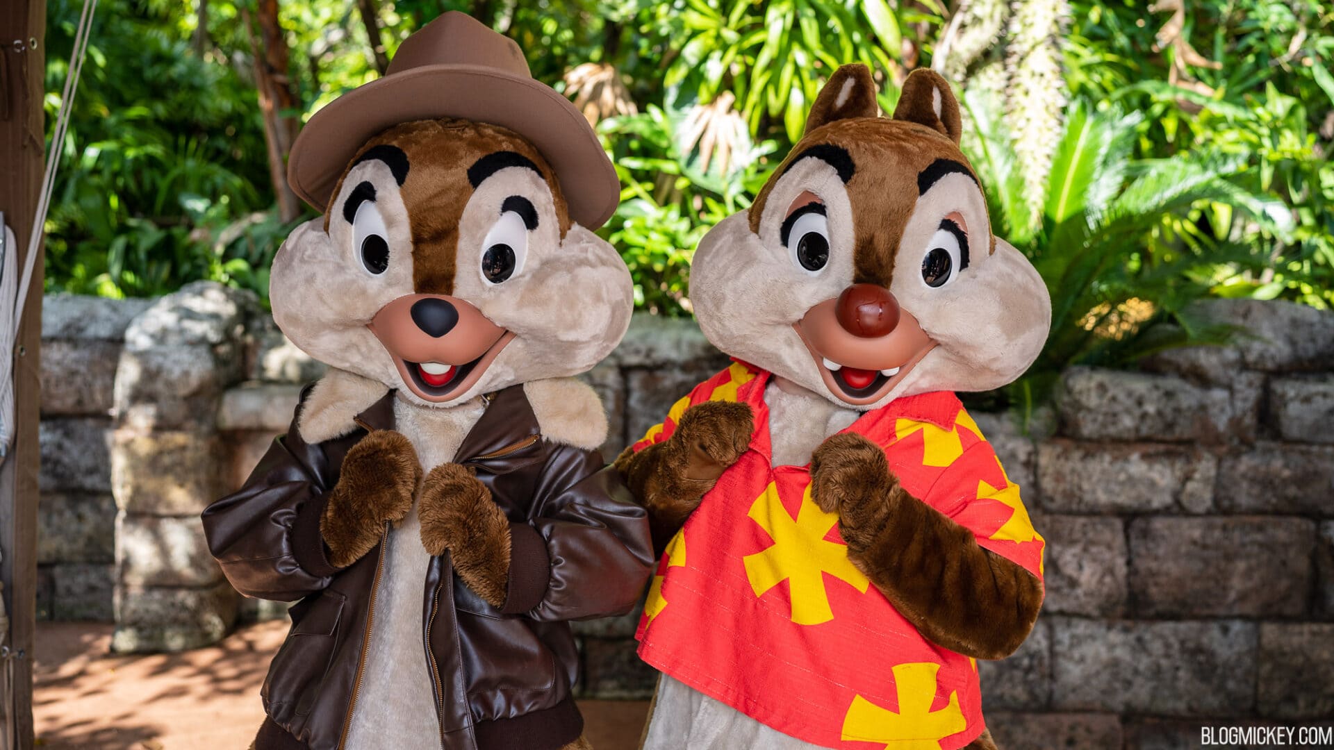 Chip & Dale Rescue Rangers Meet & Greet Relocated at Disney's Hollywood ...