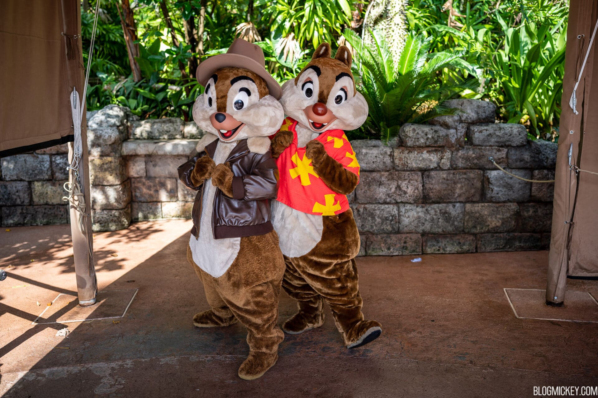 Chip & Dale Rescue Rangers Meet & Greet Relocated at Disney's Hollywood ...