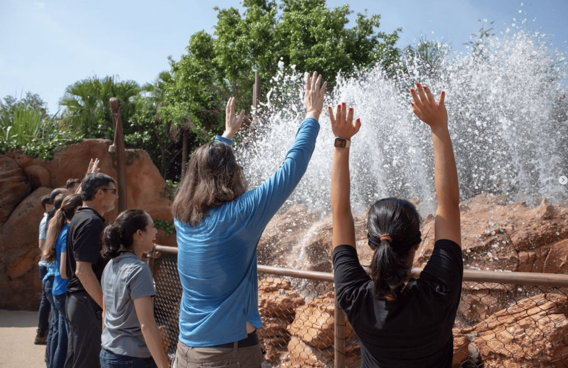 PHOTOS: Imagineers Begin Testing Interactive Elements at Journey of ...