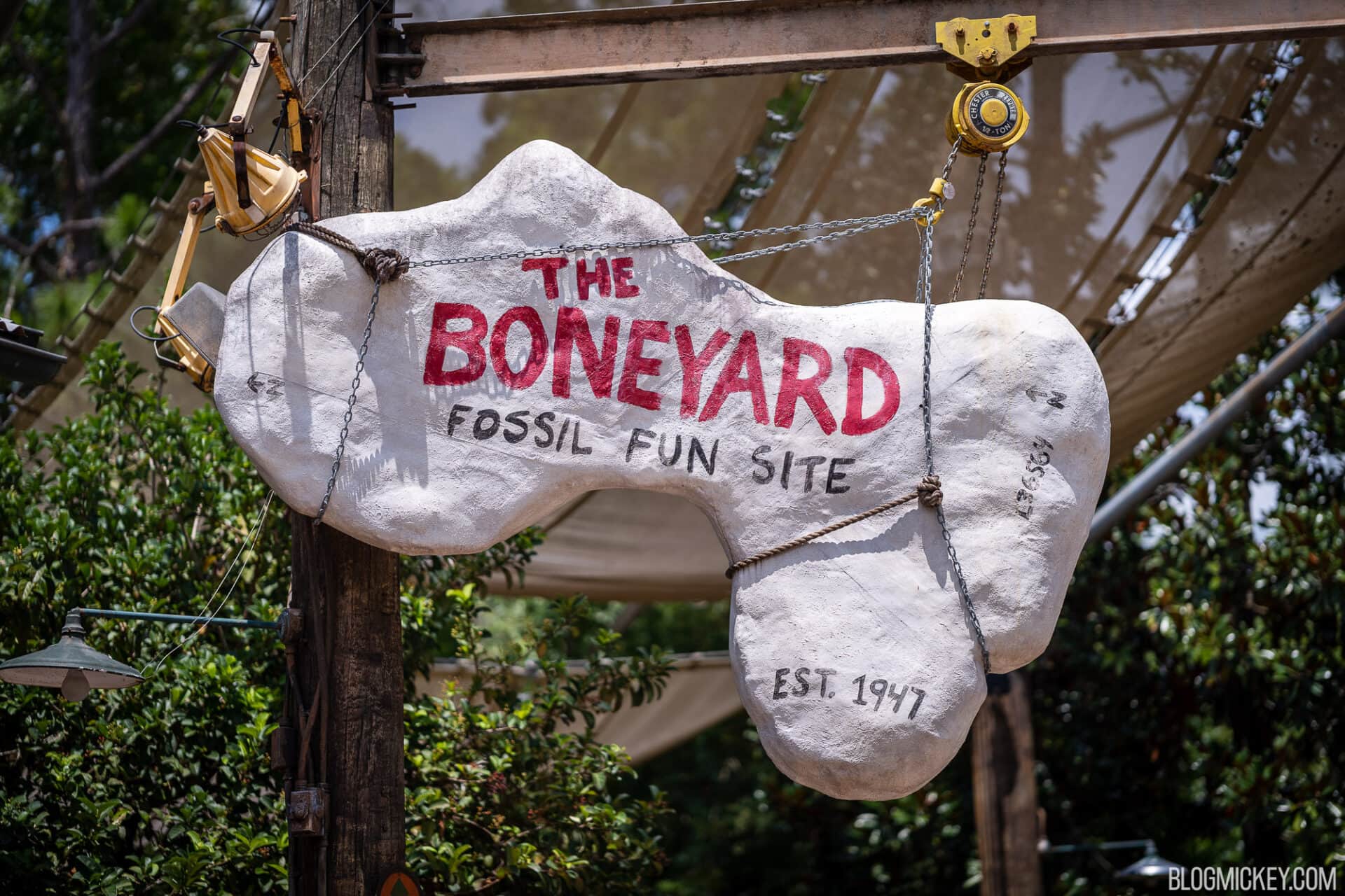 The Boneyard Play Area Reopens Following Refurbishment at Disney's ...