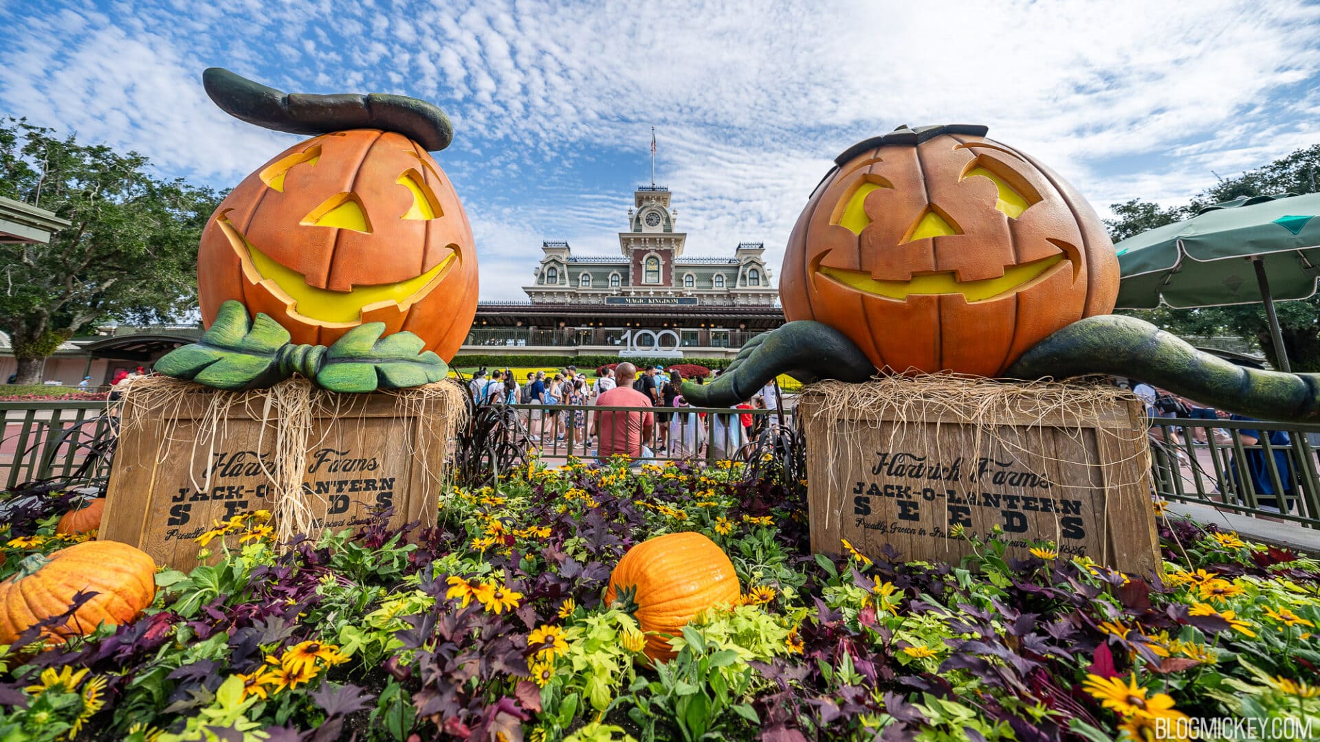 Halloween in July: Magic Kingdom Dresses Up Early for Halloween Season