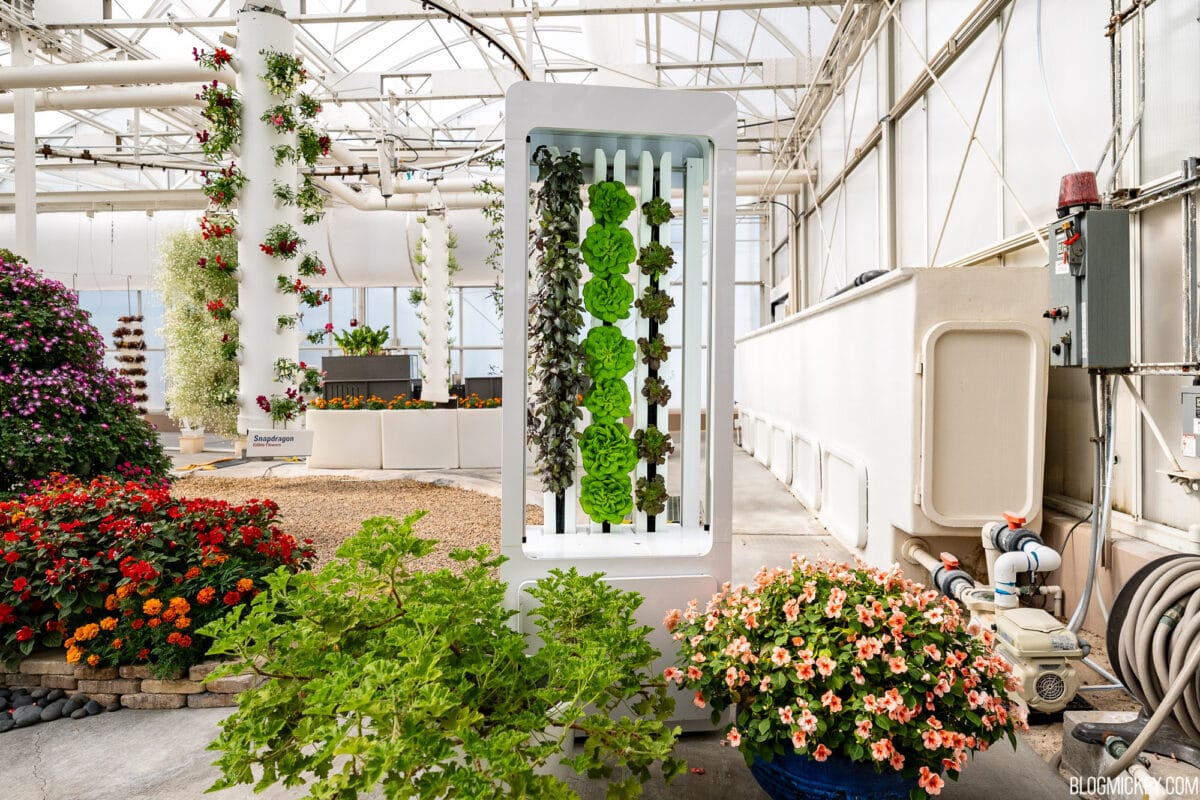At-Home Hydroponics: Disney World Installs ZipGrow Hydroponic System in ...