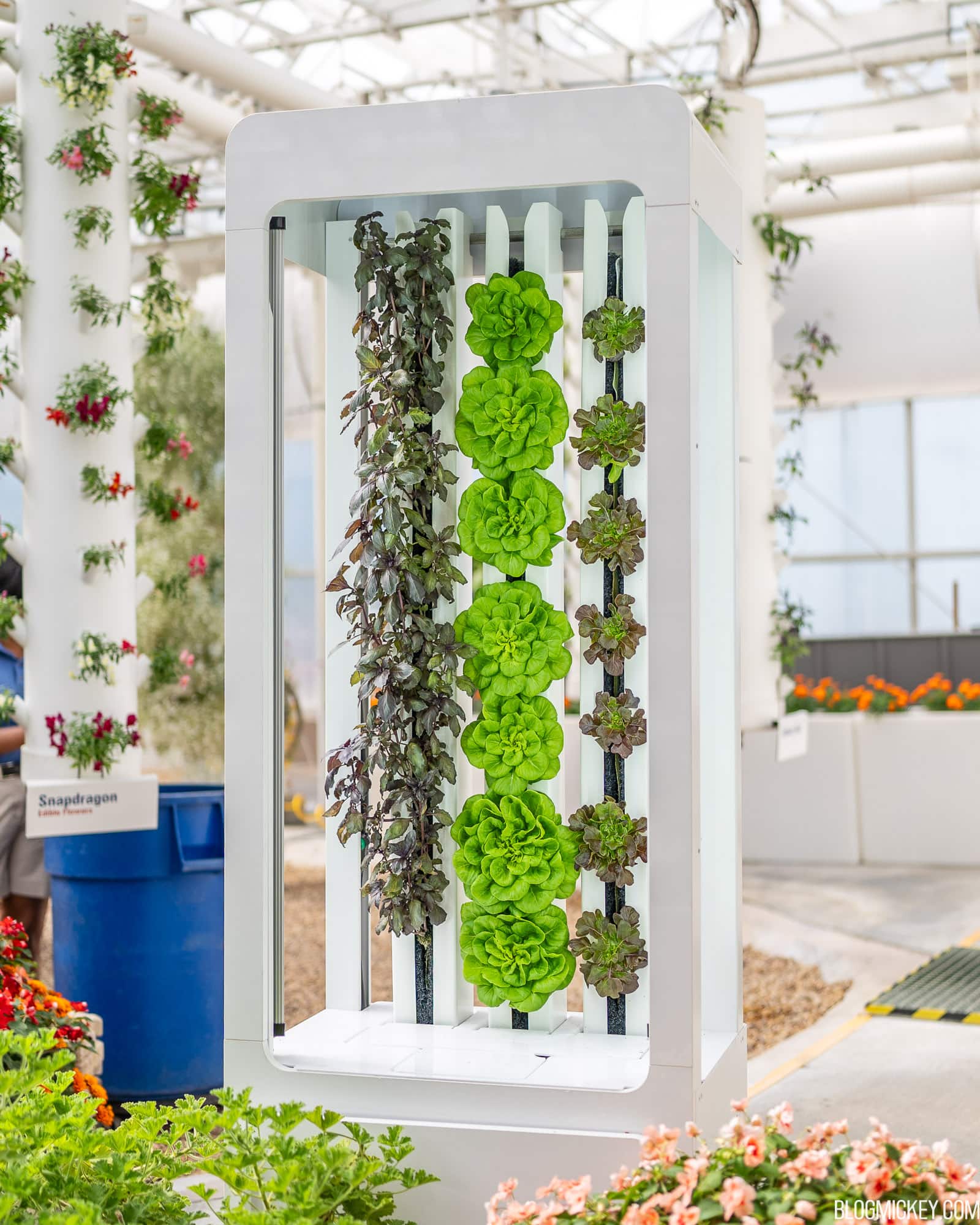 At-Home Hydroponics: Disney World Installs ZipGrow Hydroponic System in ...