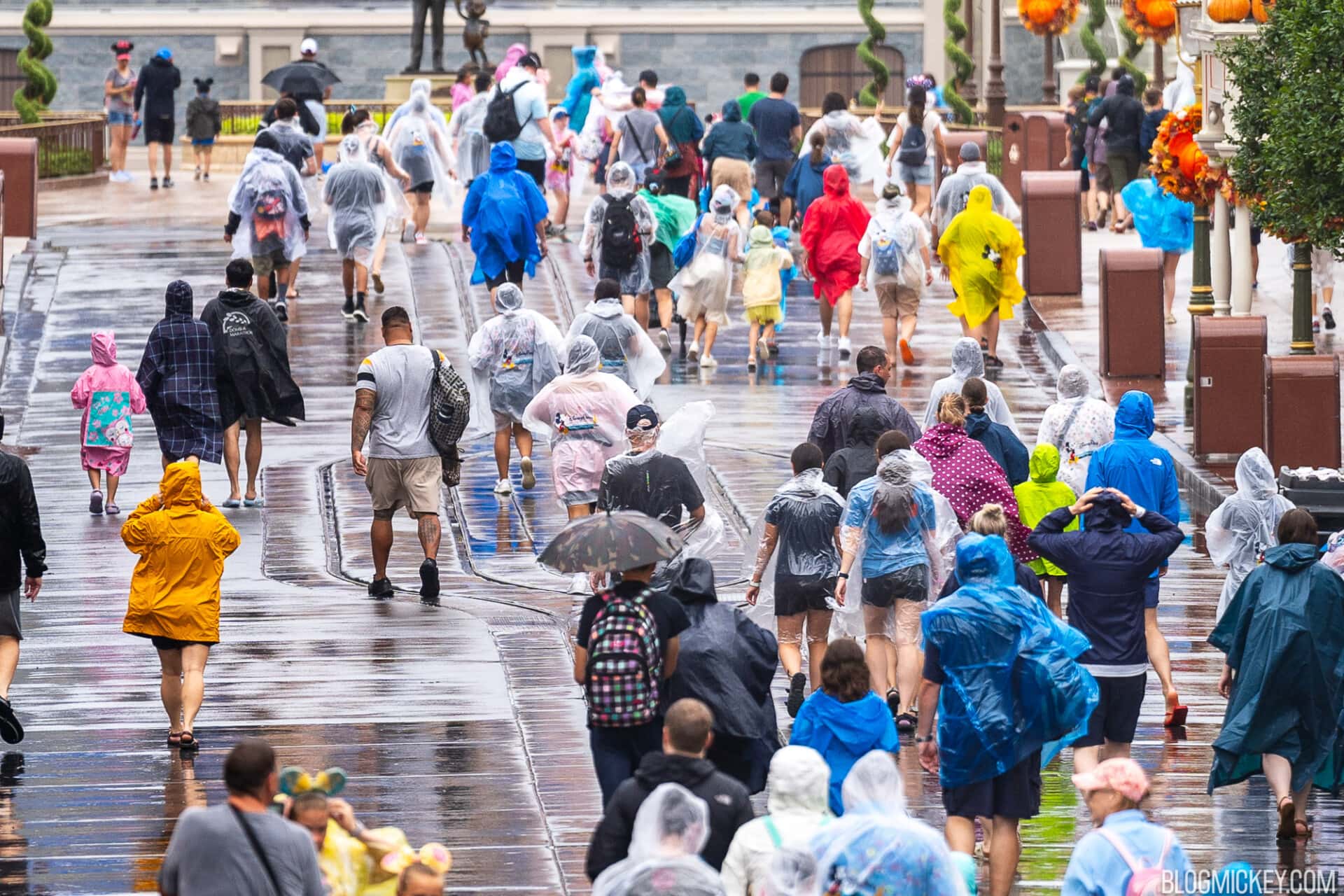 Walt Disney World Under Tornado Watch as Effects of Hurricane Helene ...