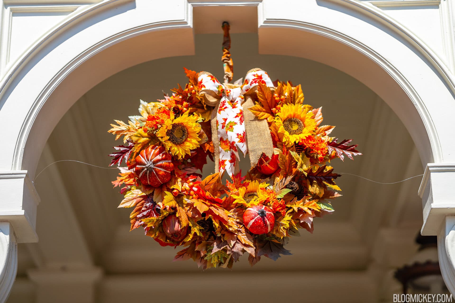 Fall Foliage & More Decor Arrives on Main Street USA as Disney World's ...