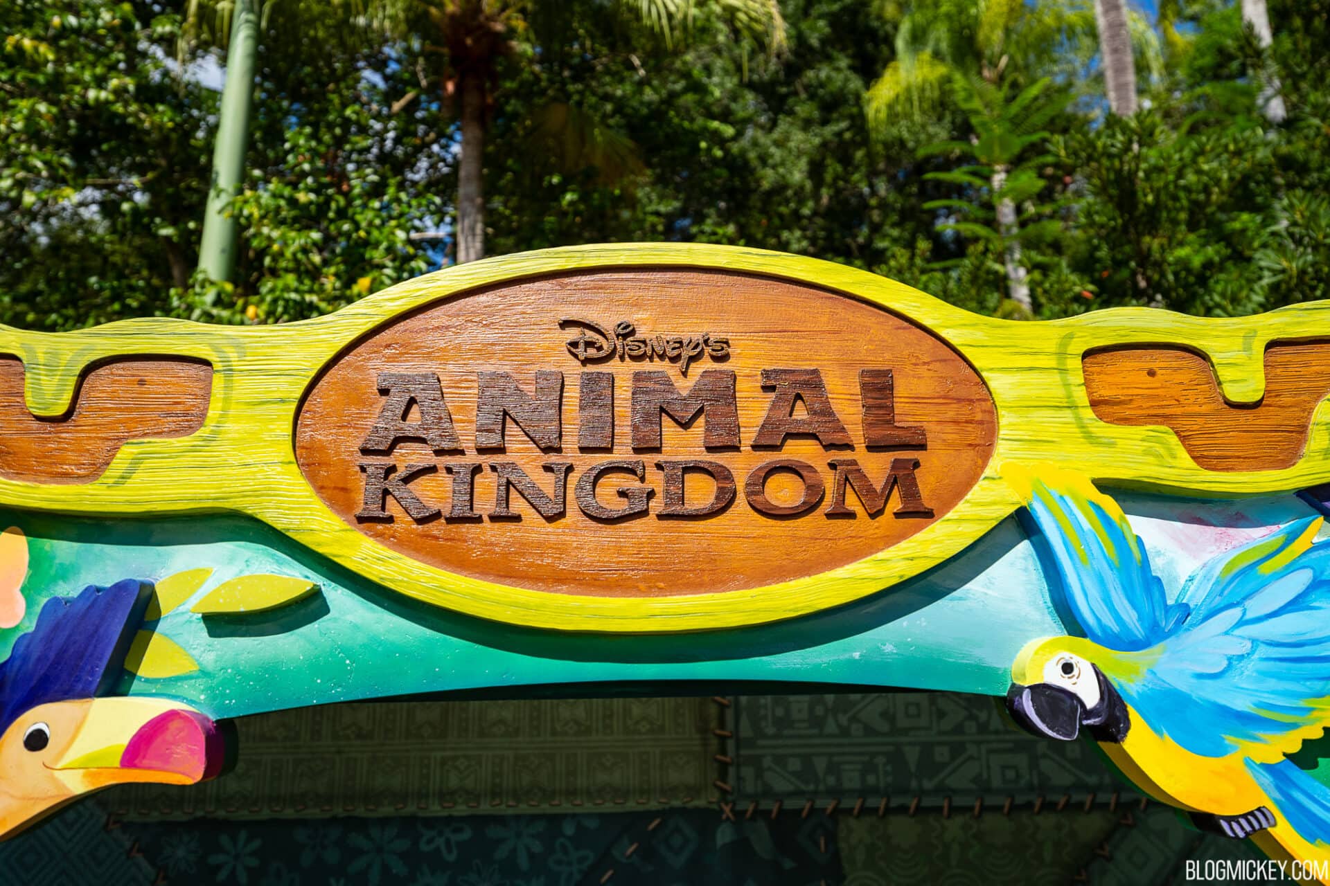 Encanto Photo Op Appears at Animal Kingdom as Disney Dreams Up Tropical ...