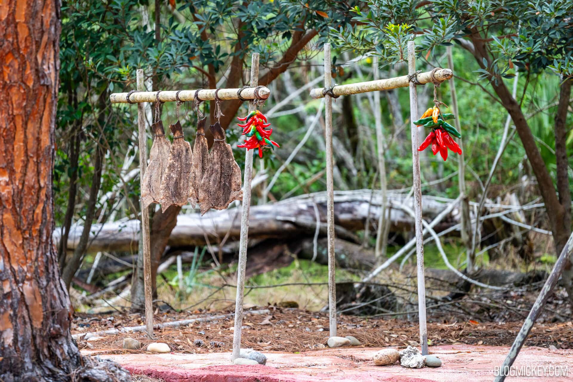 Peppers Return to Native American Village Along Rivers of America in ...