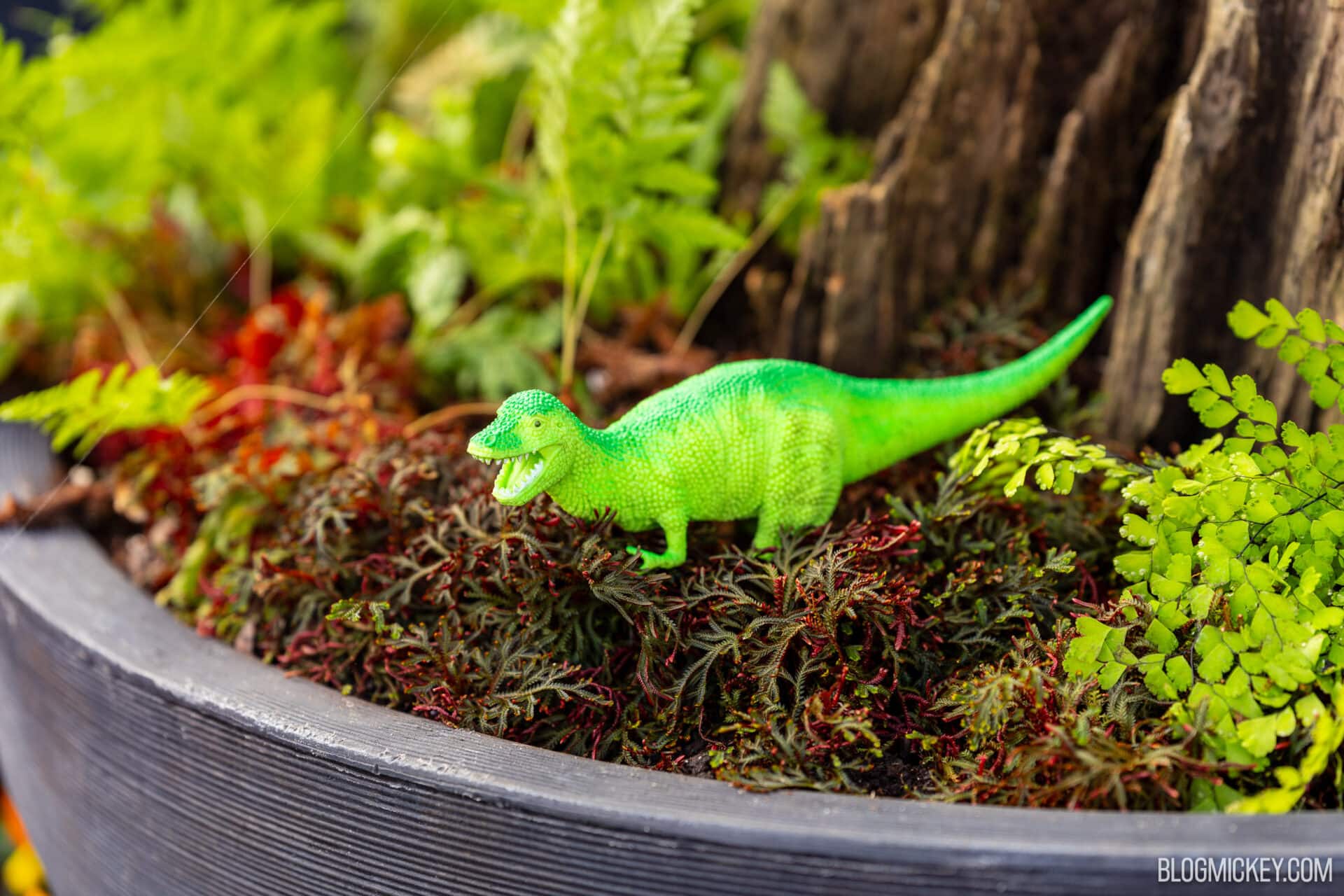 Mini Dinosaurs Return to EPCOT