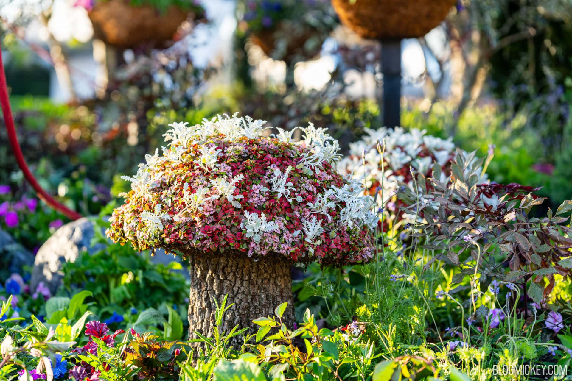 Wish Movie Topiary Debuts at EPCOT Main Entrance for 2024 Flower ...