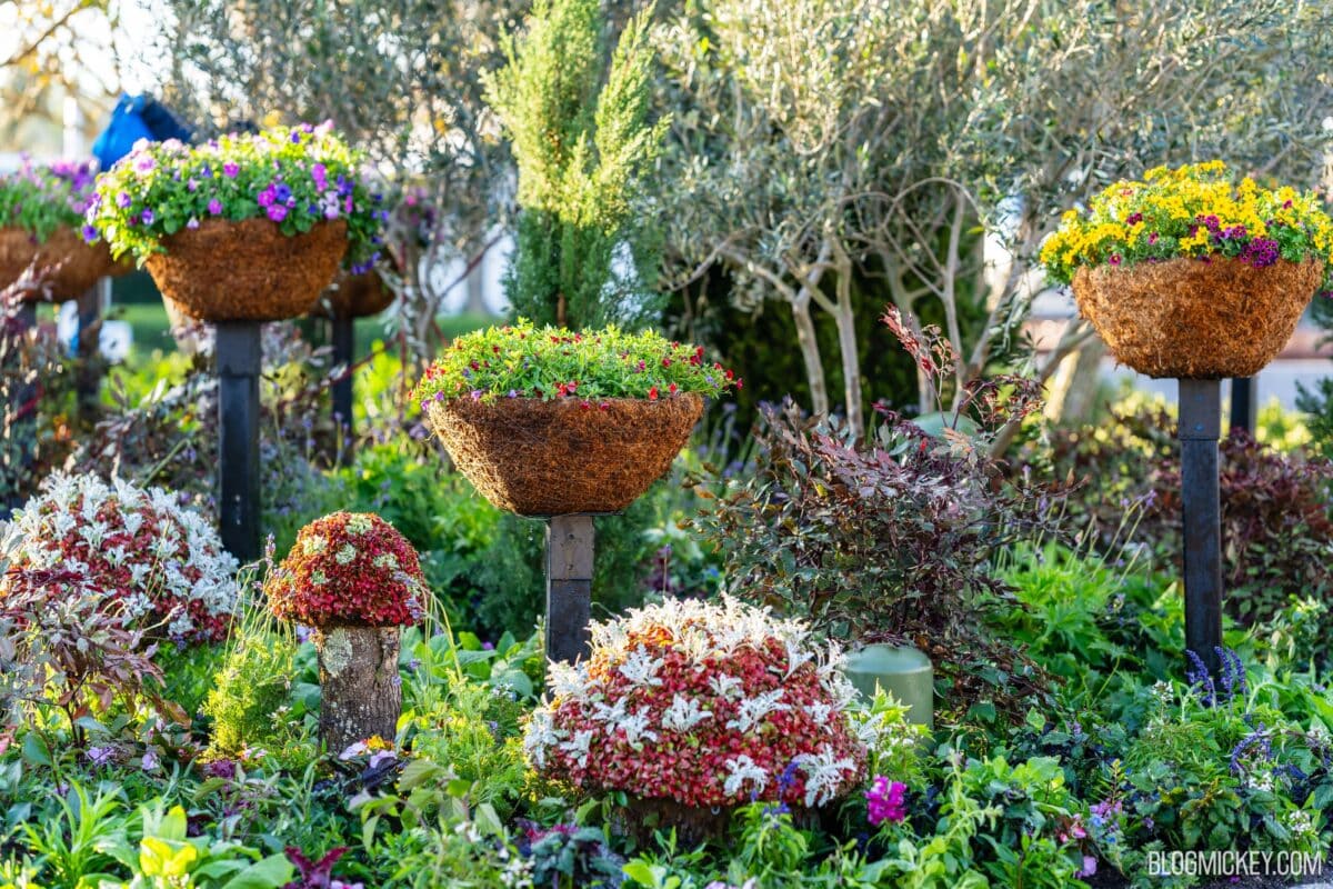 Wish Movie Topiary Debuts at EPCOT Main Entrance for 2024 Flower ...