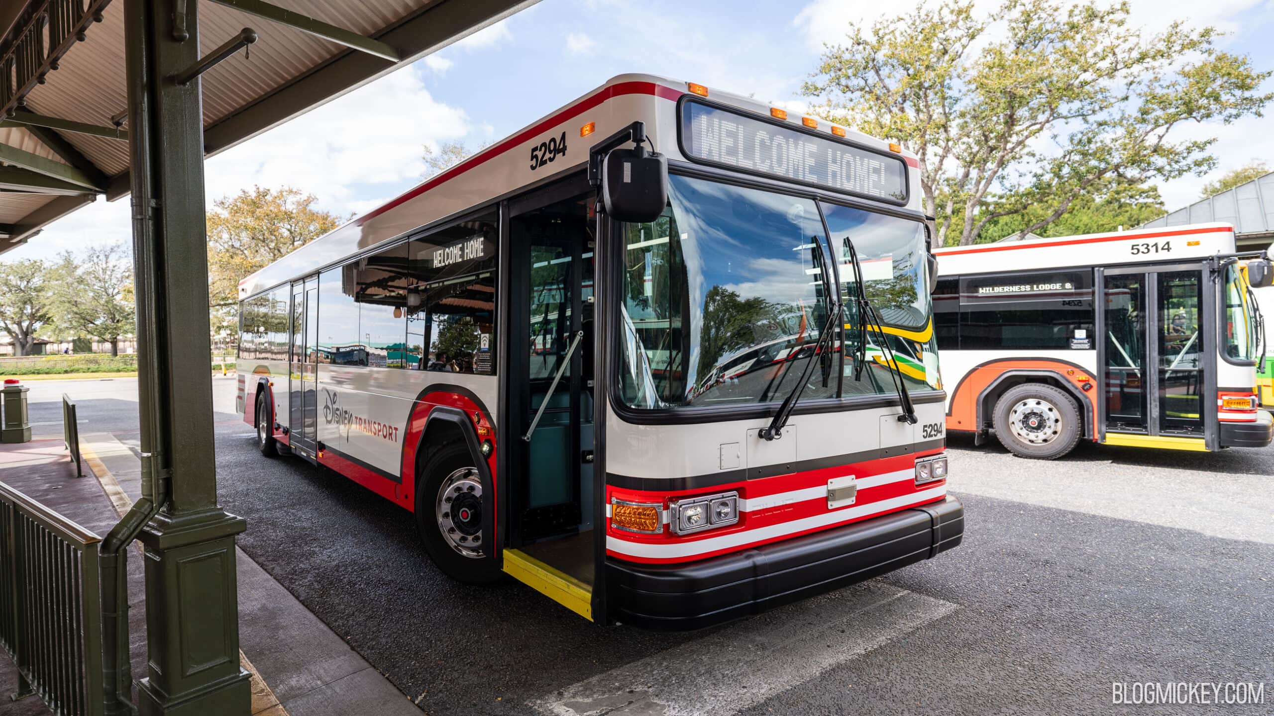 New Details for Disney Springs Bus Restrictions & Resort Hopping for ...