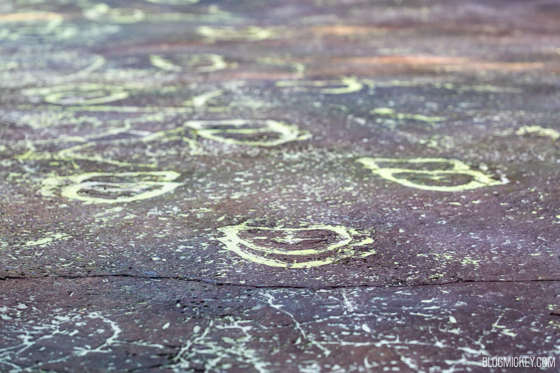 Vibrant Glowing Walkway Refresh Underway in Pandora - The World of ...