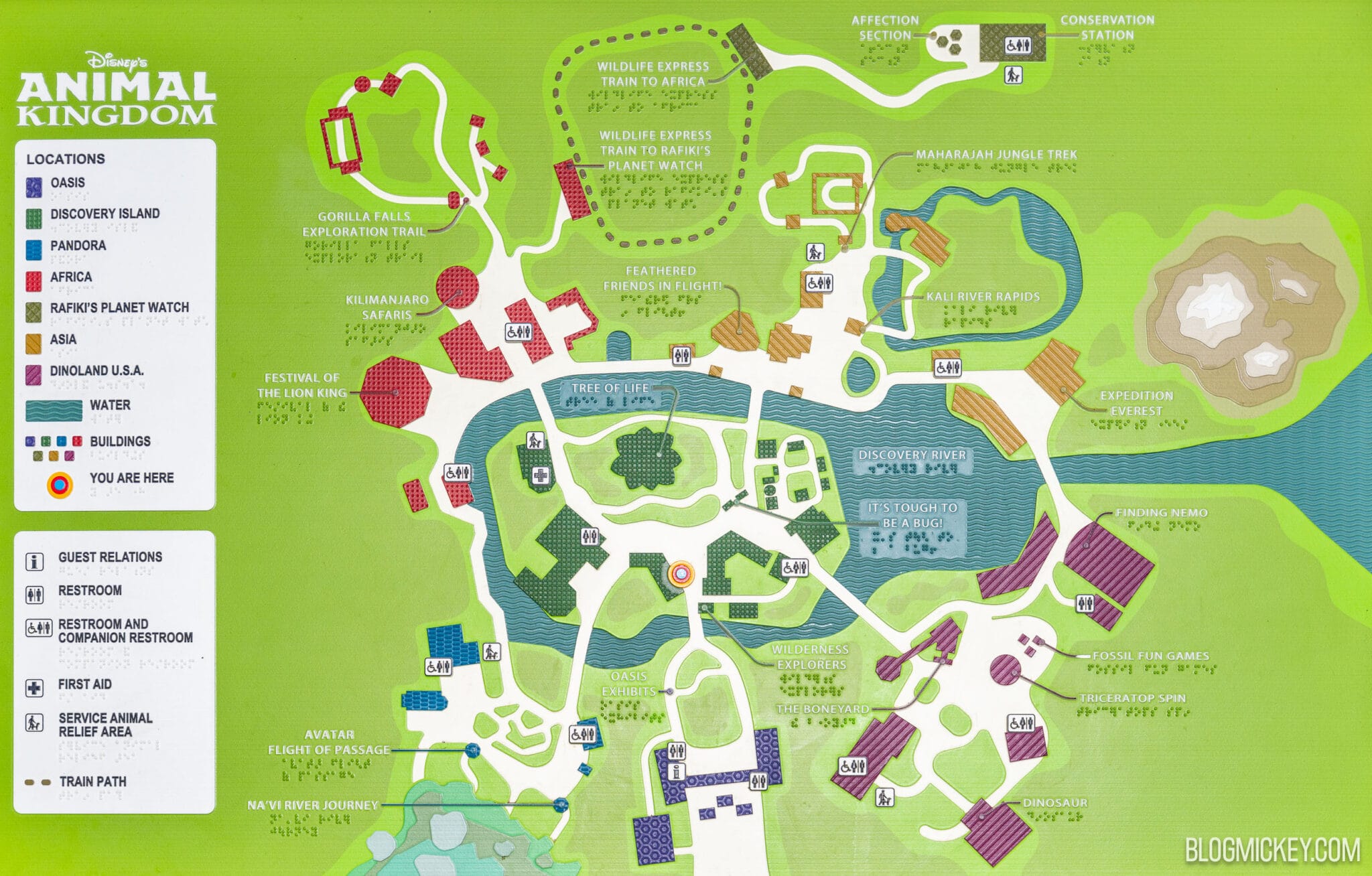 New Simplified & Improved Braille Map Debuts at Disney's Animal Kingdom