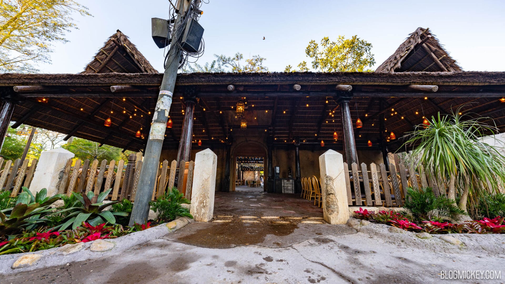 Expanded Seating Area Now Open at Harambe Market in Animal Kingdom