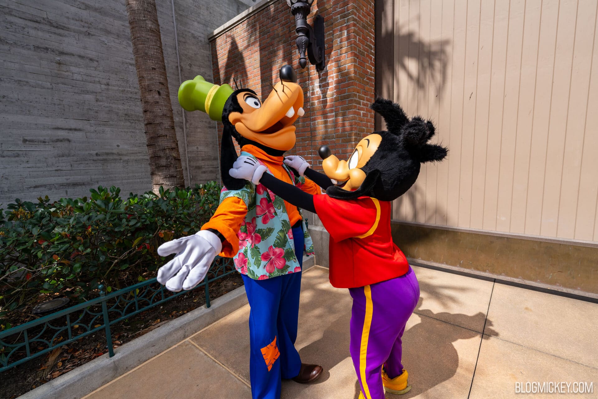 Max Goof Moves Back to Grand Avenue As Part Of Multi-Character Meet ...