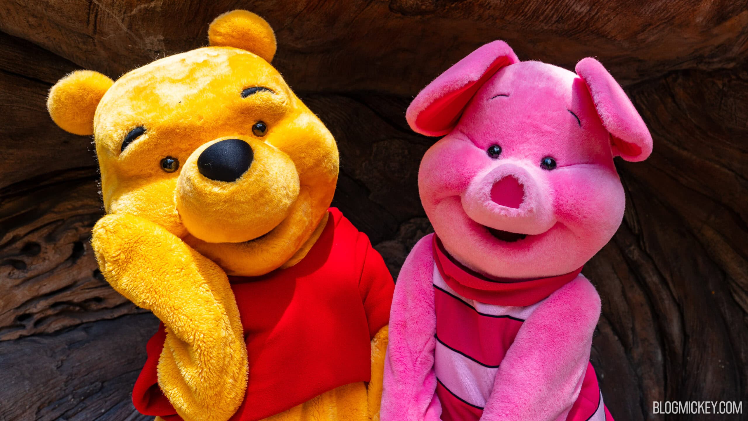 Special Animal Kingdom Earth Week Character Meets Continue with Pooh ...
