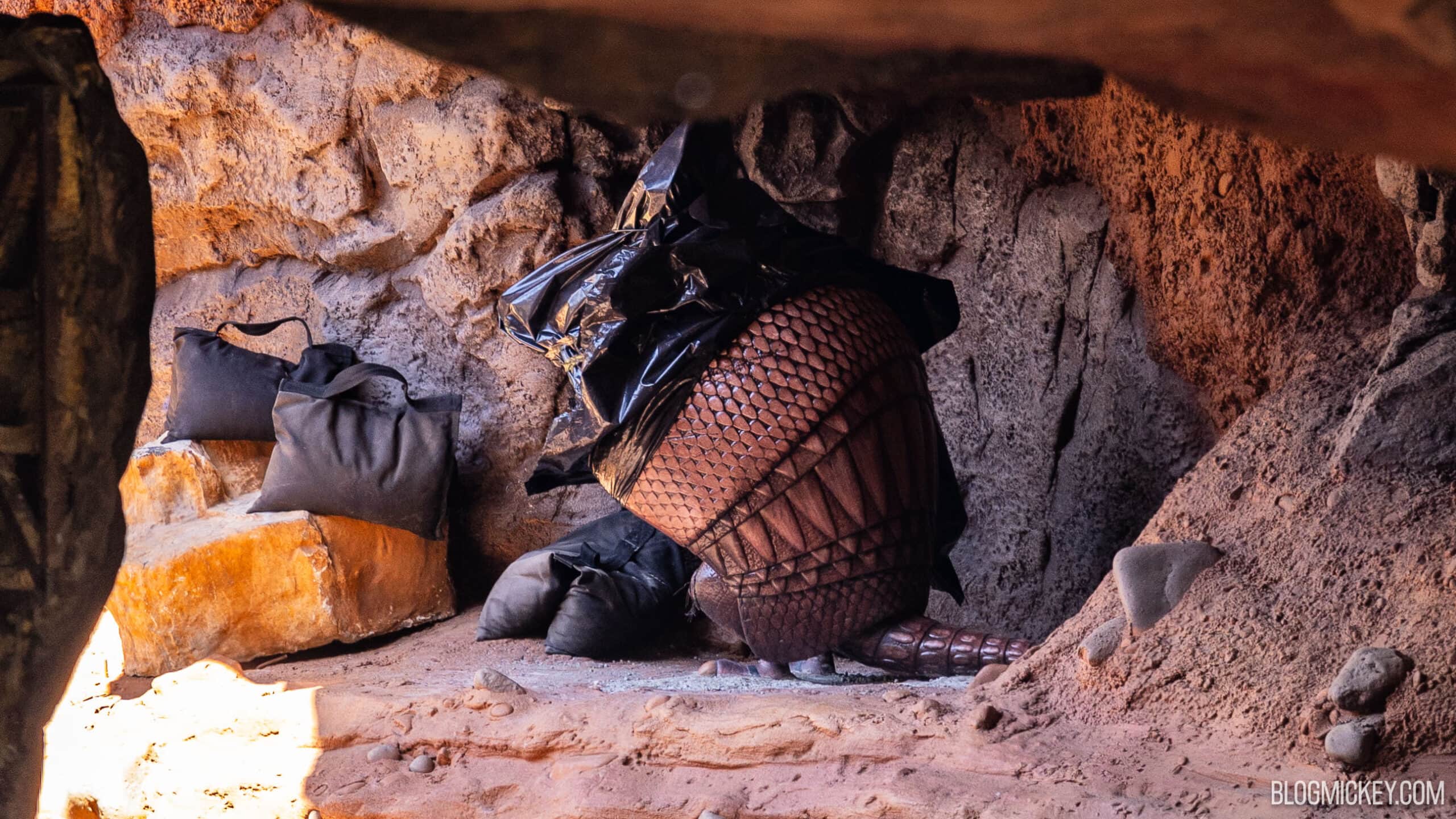 Lari the Armadillo Spotted at Tiana's Bayou Adventure in Magic Kingdom