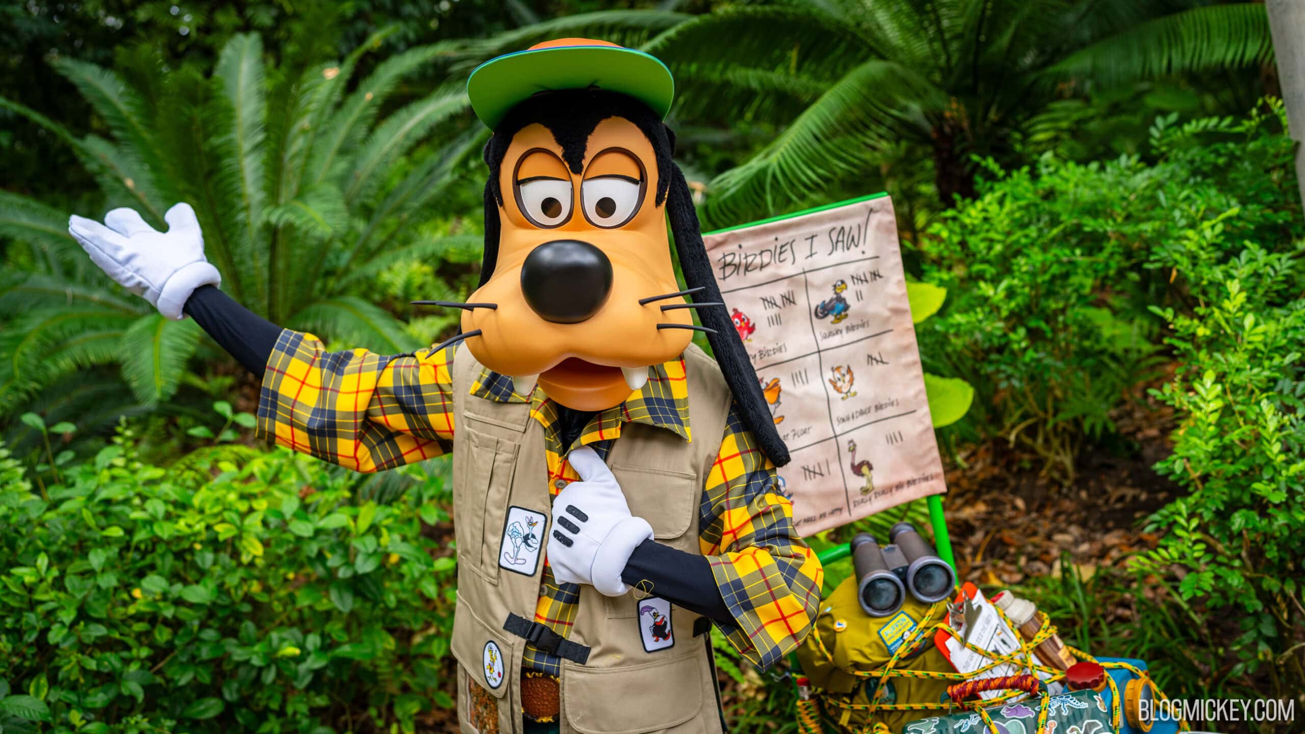 Disney goofy store