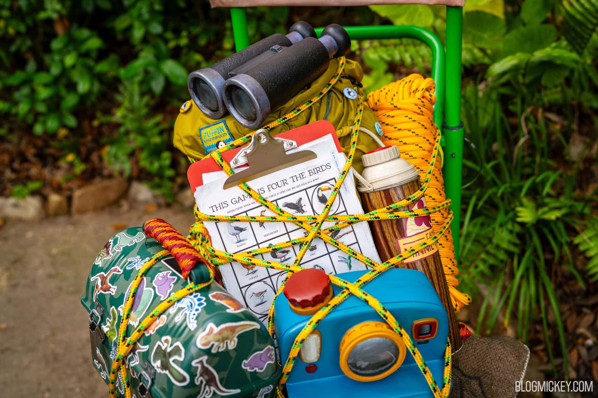 Bird-Watching Goofy Meet and Greet Debuts at Disney's Animal Kingdom