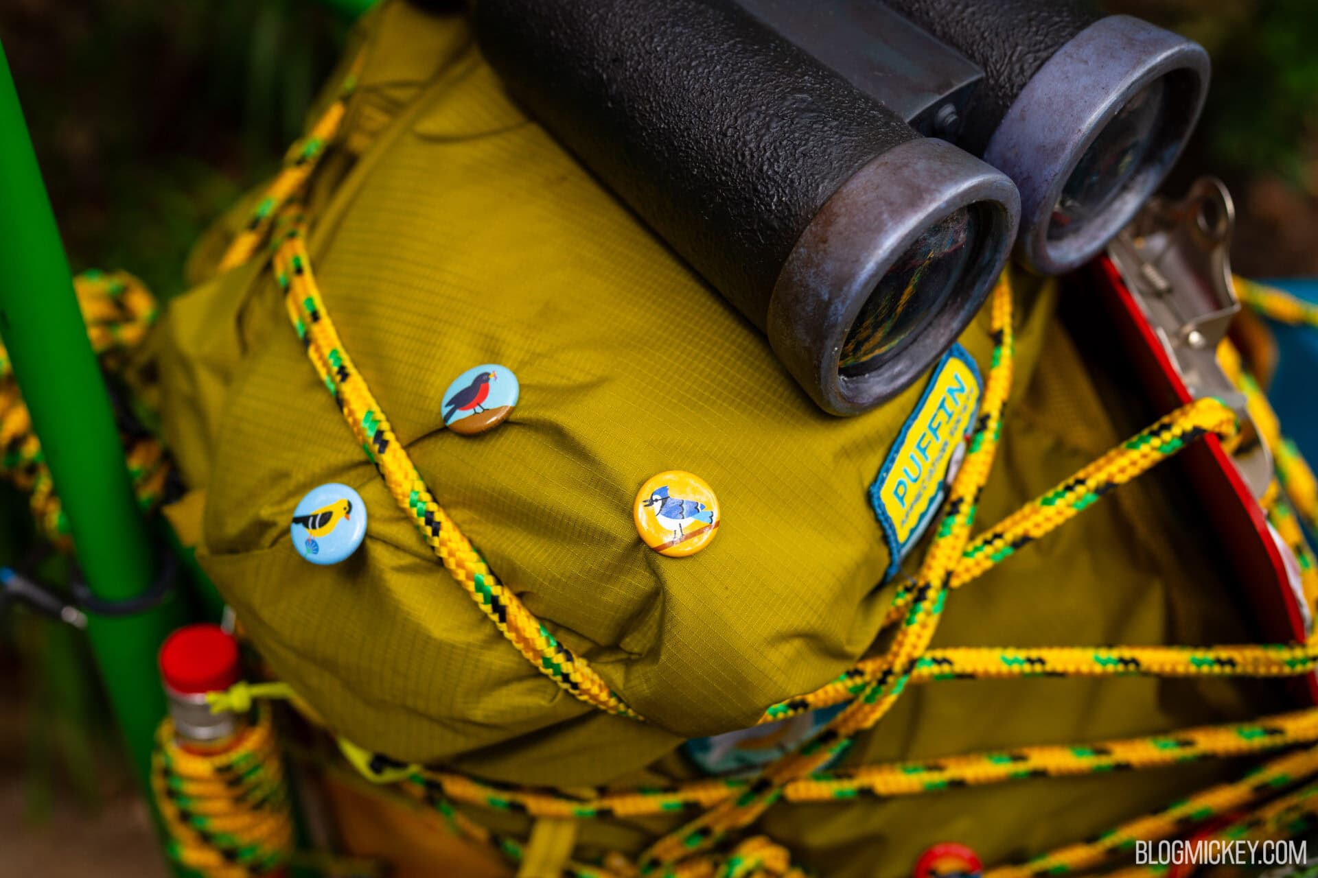 Bird-Watching Goofy Meet and Greet Debuts at Disney's Animal Kingdom