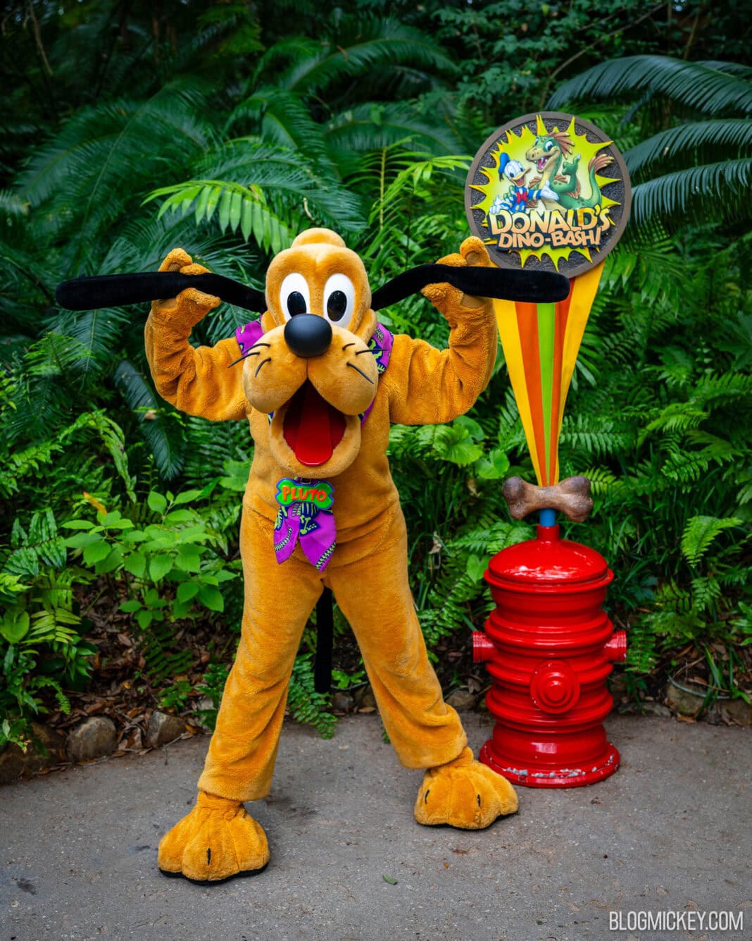 Pluto Meet & Greet Returns to DinoLand USA at Disney's Animal Kingdom