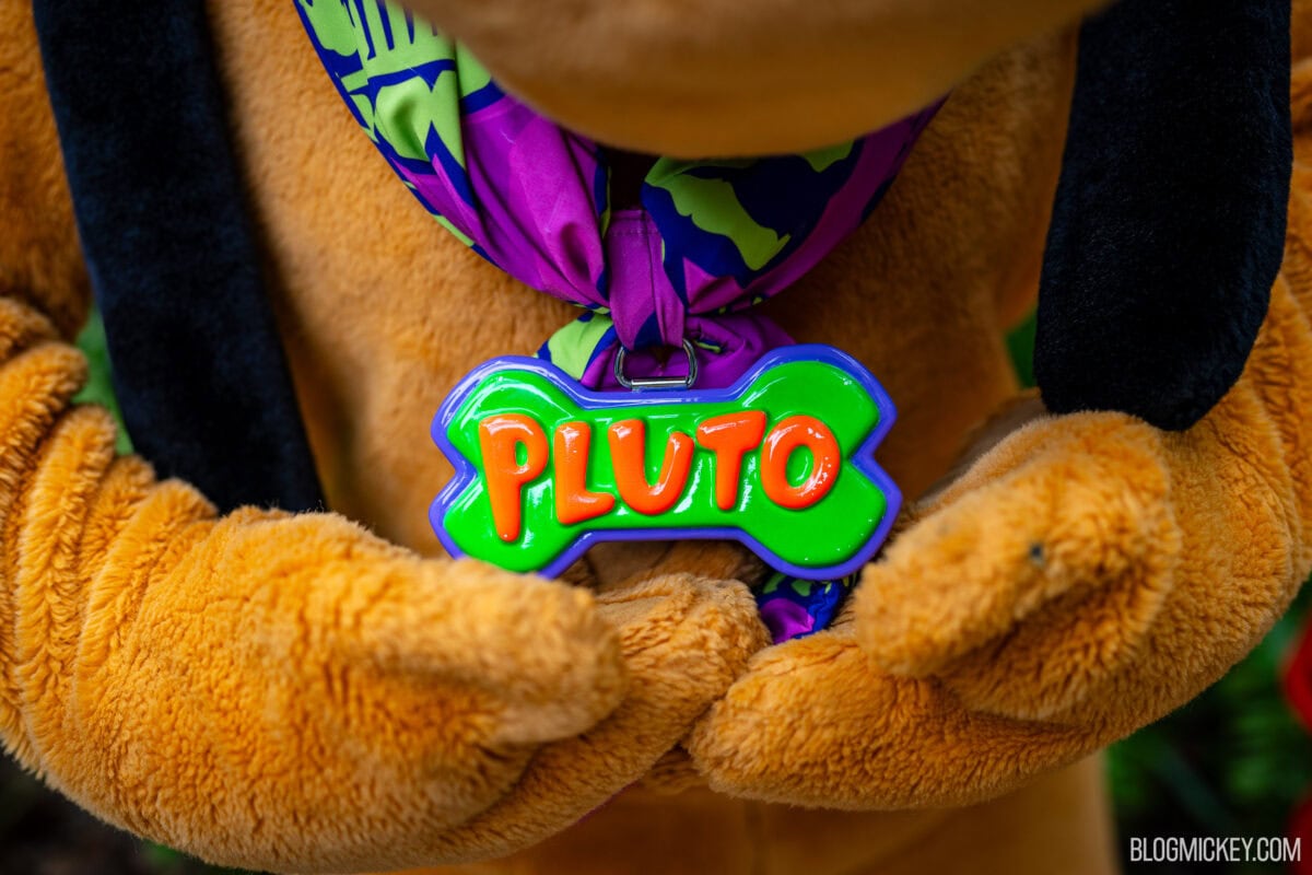 Pluto Meet & Greet Returns to DinoLand USA at Disney's Animal Kingdom