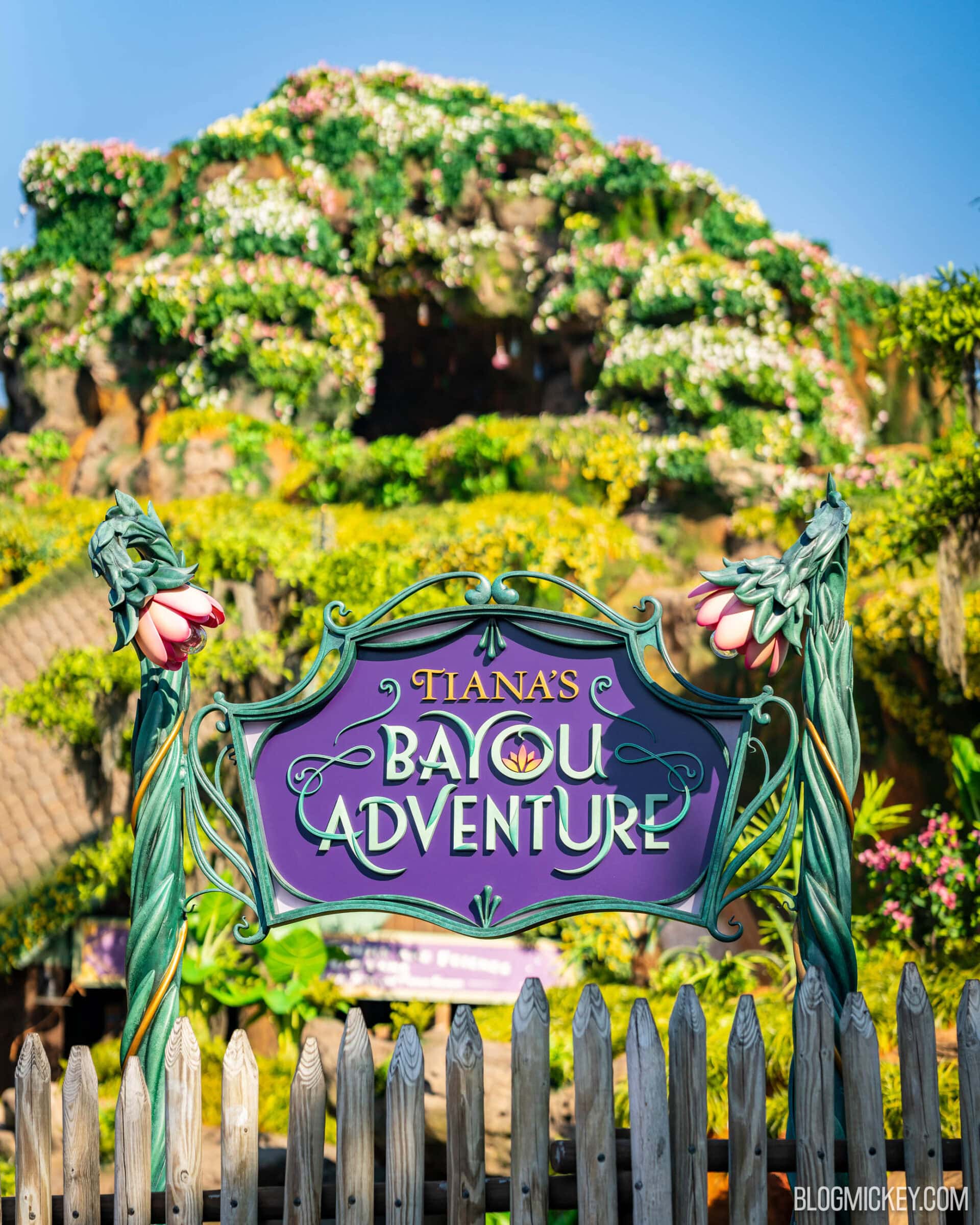 30+ PHOTOS: Construction Walls Removed from Tiana’s Bayou Adventure at ...