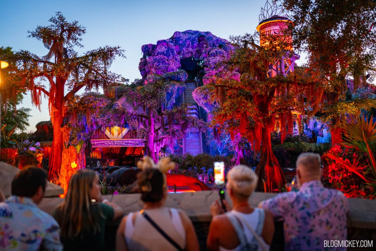 PHOTOS: Tiana's Bayou Adventure...at Night