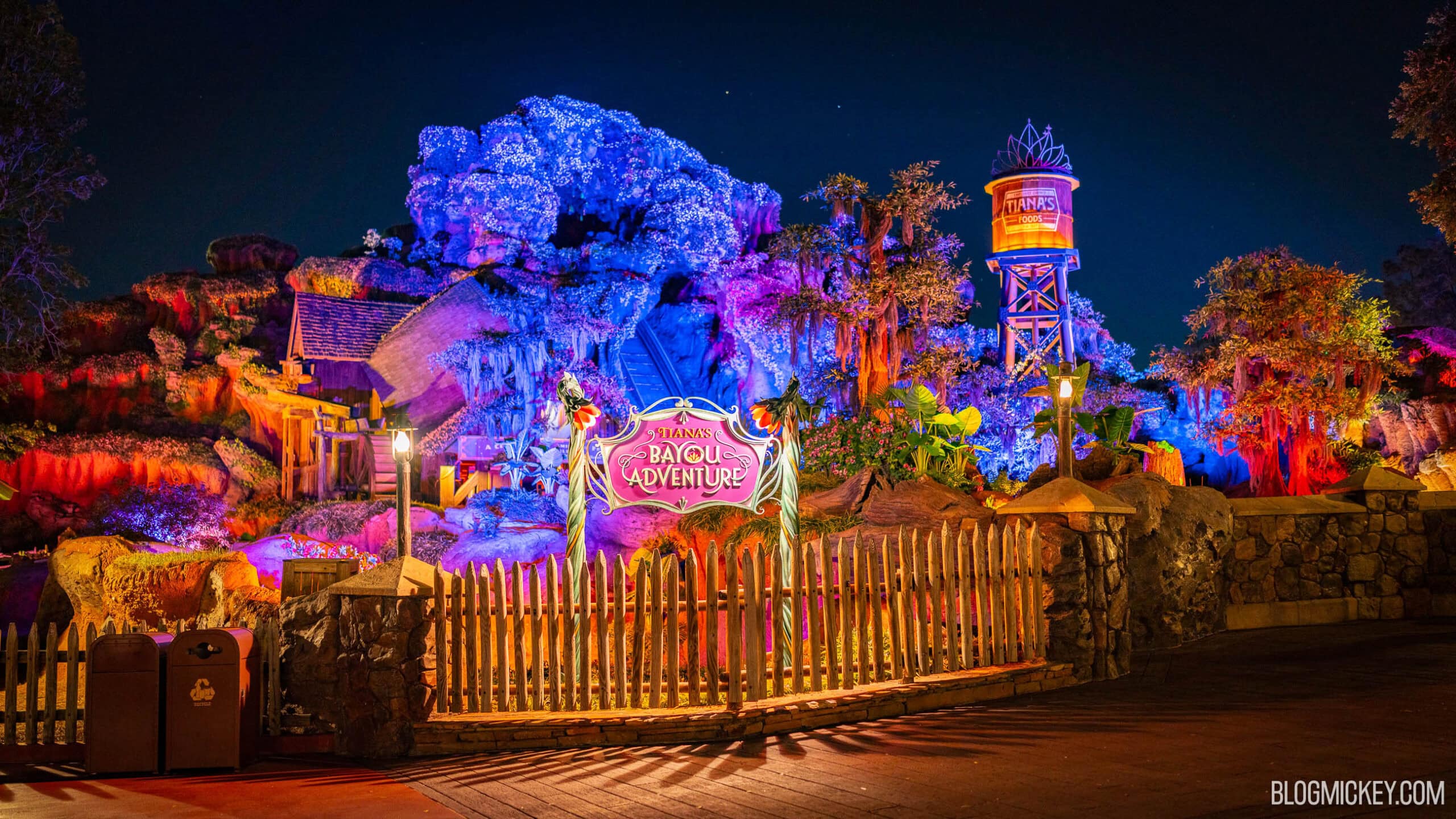 PHOTOS: Tiana's Bayou Adventure...at Night