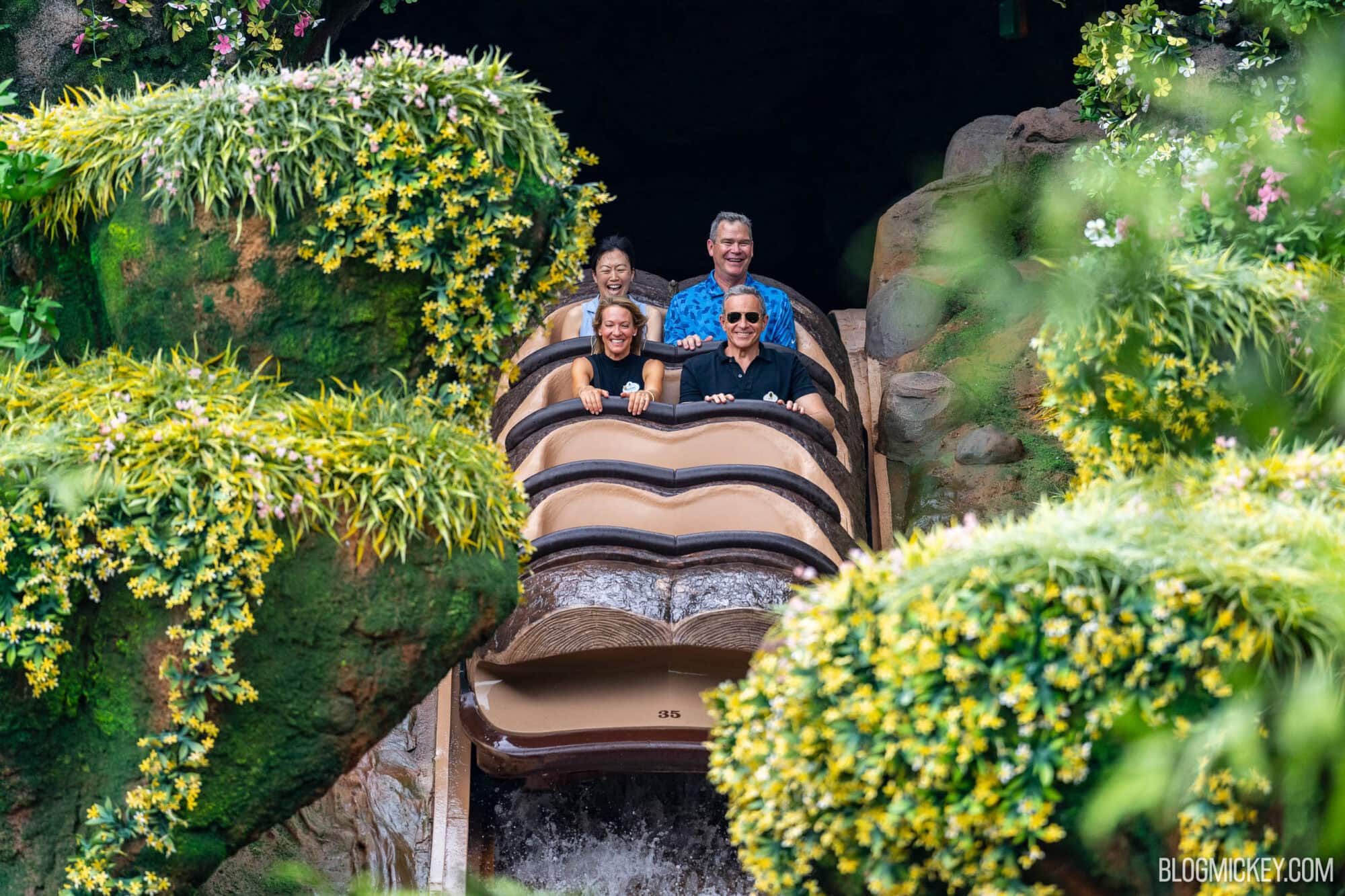 Goin' Down the Bayou: Disney CEO Bob Iger Previews Tiana's Bayou ...